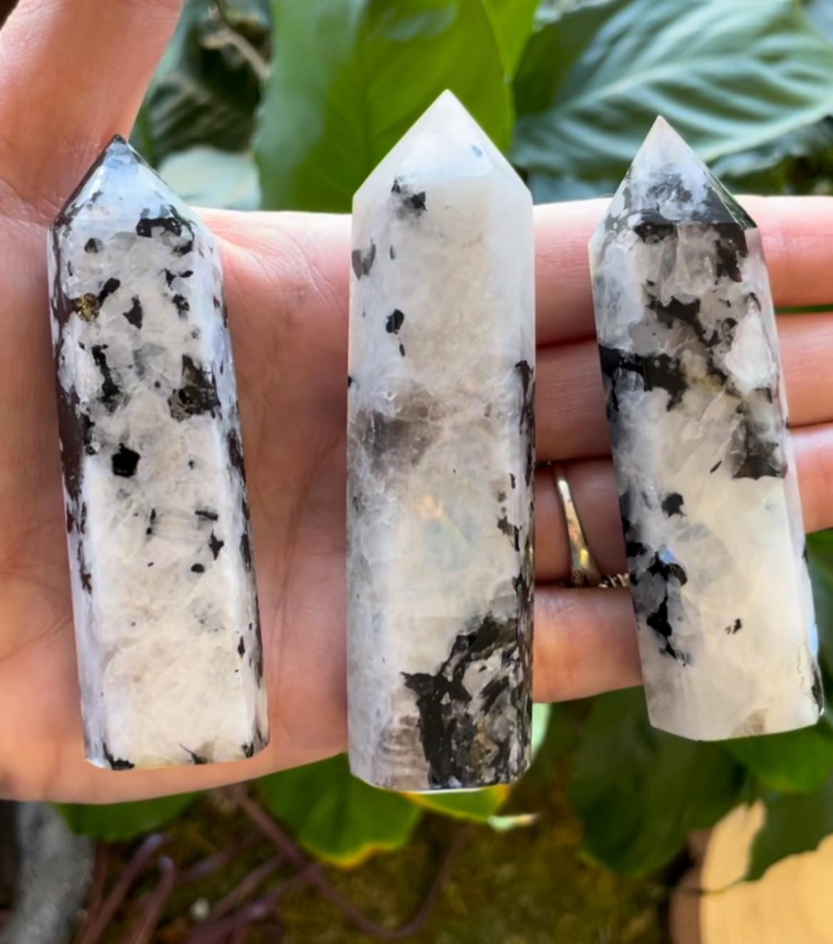 Herbs Incense Oils & Sprays