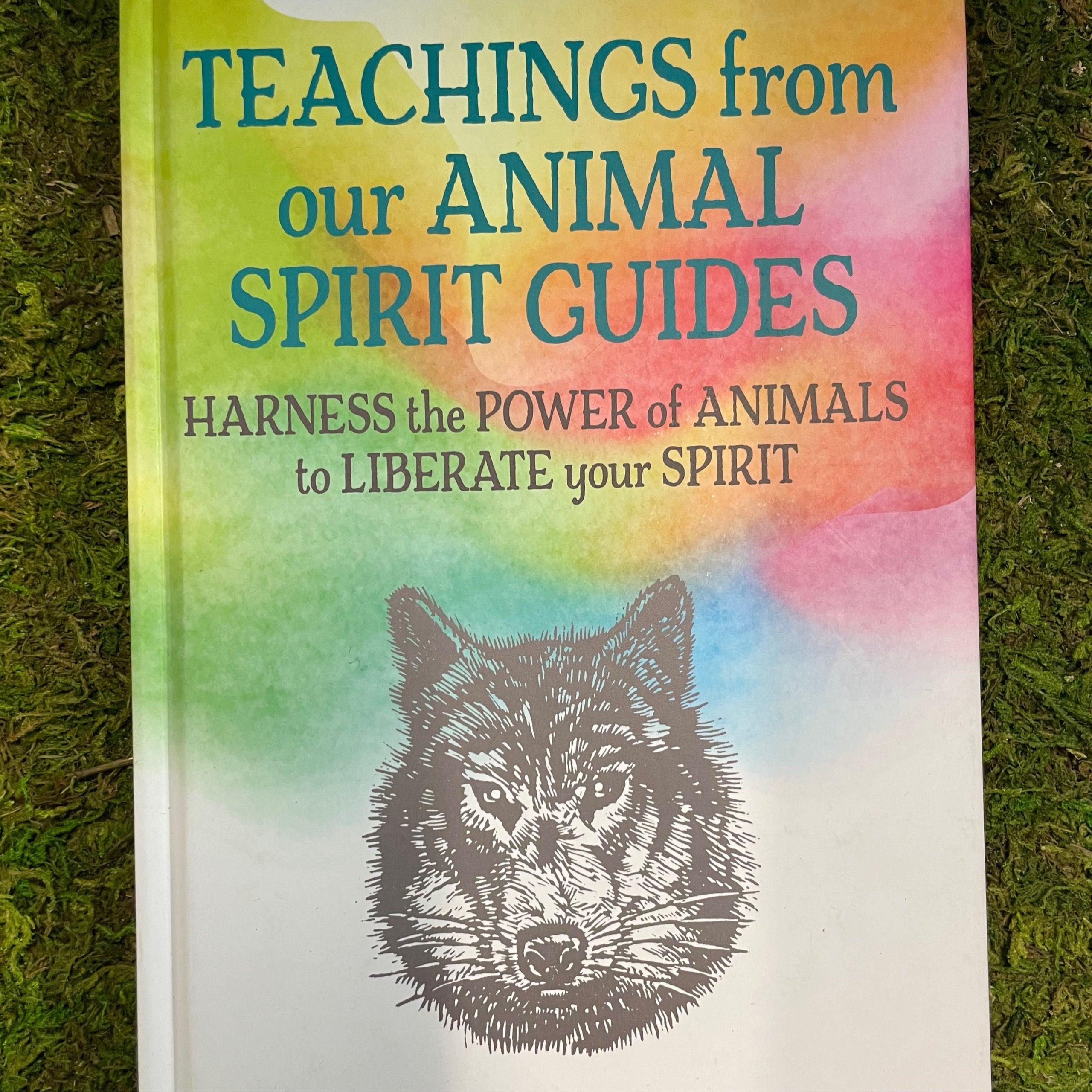 Teachings from our Animal Spirit Guides | Cosmic Wander