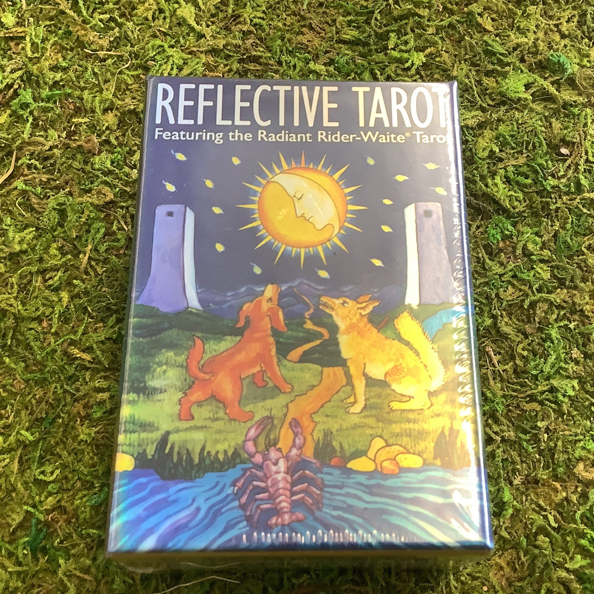 Reflective Rider Waite Tarot | Cosmic Wander
