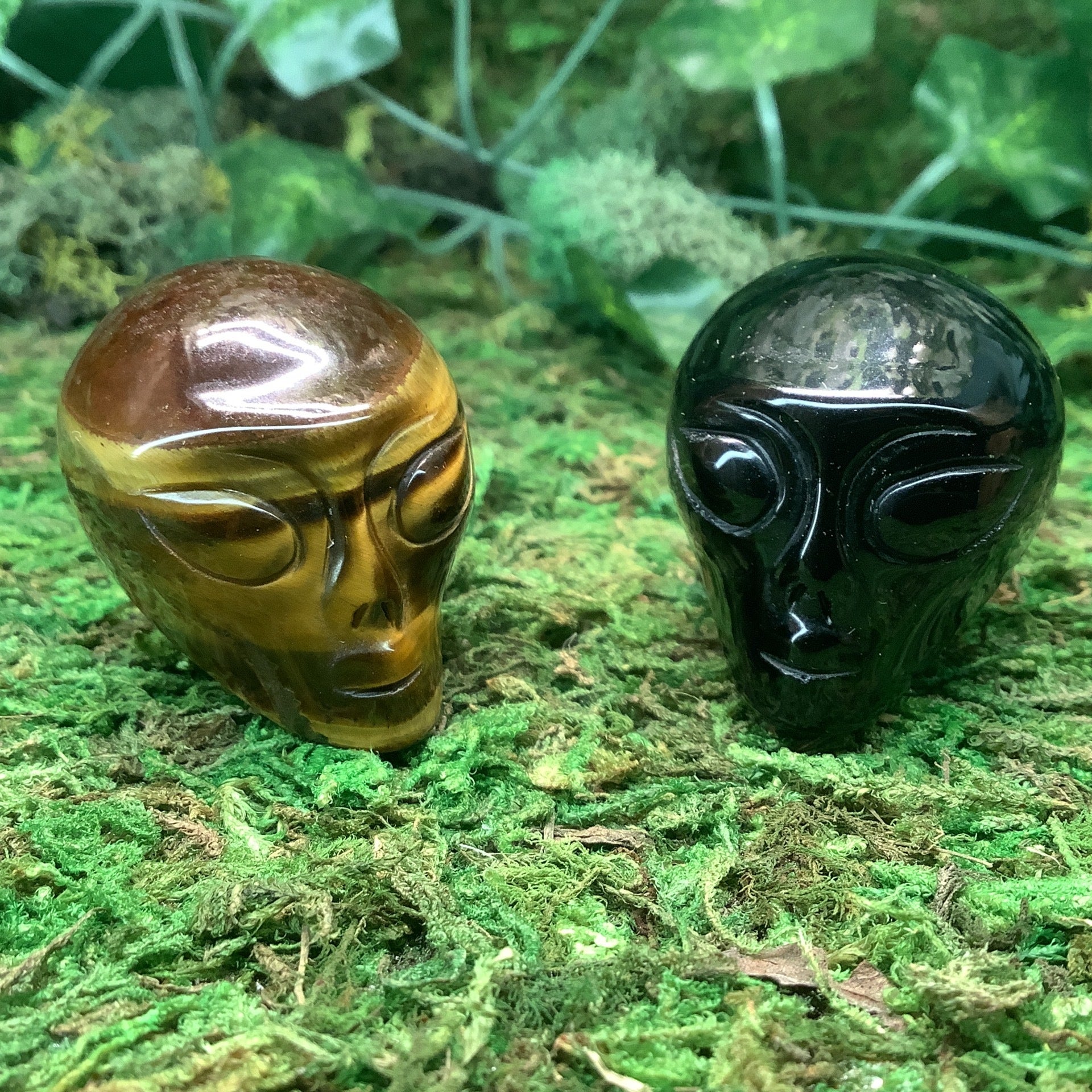 Alien | Cosmic Wander